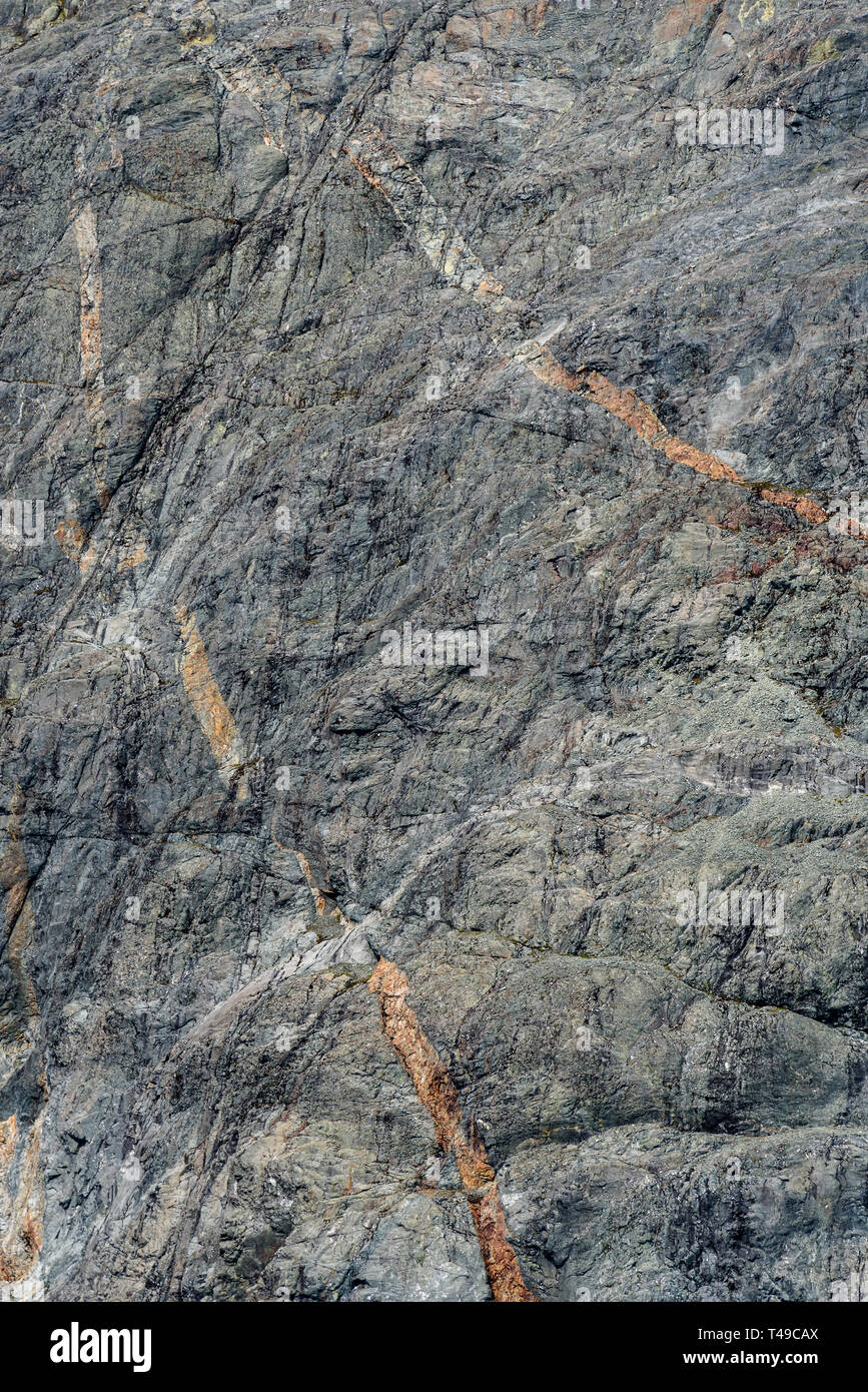 Weathered gray rock face with orange and white mineral veins as a ...