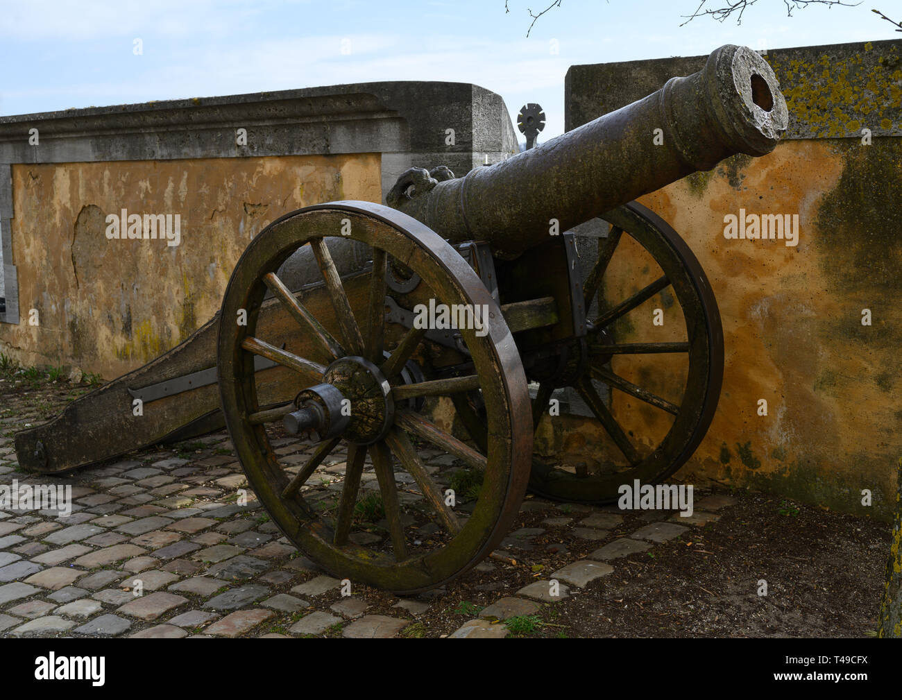 historical military cannon from iron and wood at a castle wall Stock ...