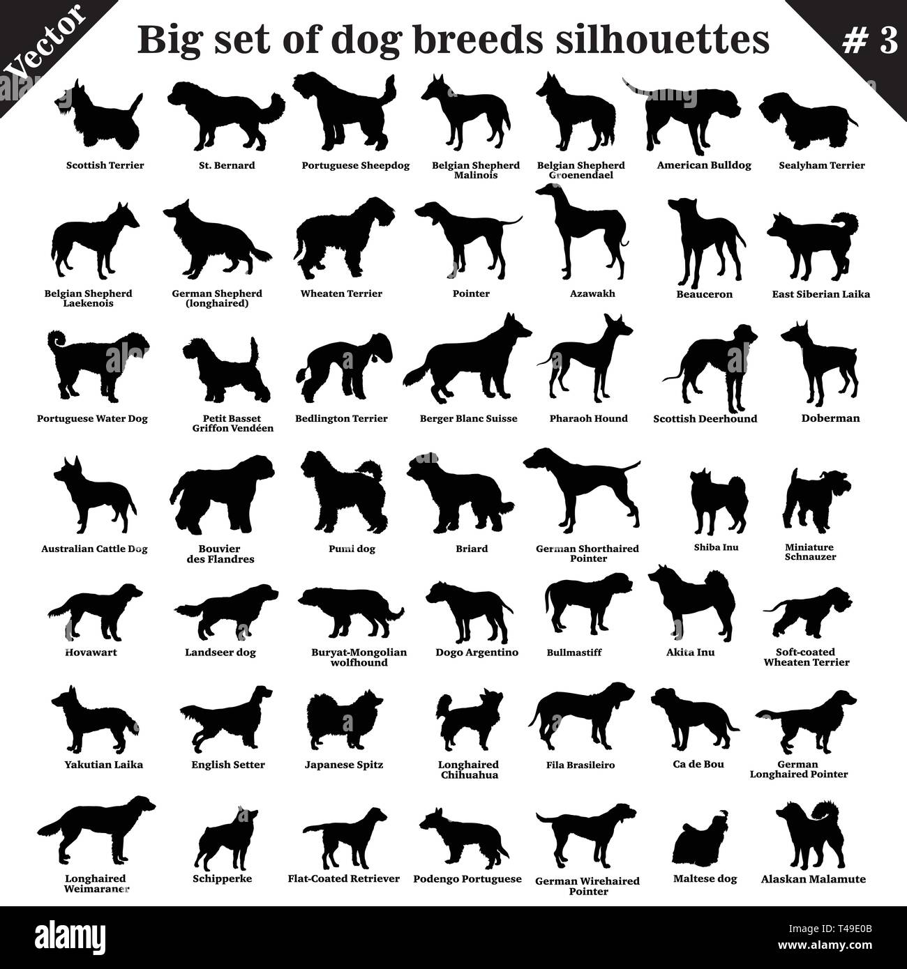 Hounds in Stock Vector Images - Alamy