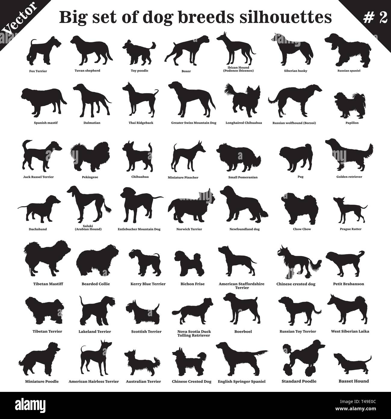 Big set of 49 different dogs, hounds, working, shepherd, terrier ...