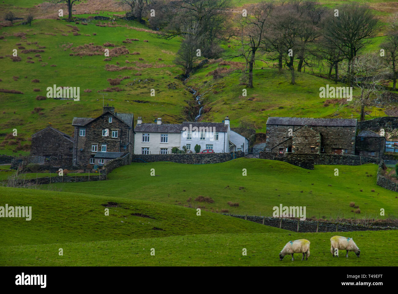 Landscape with English countryside of sheep on the hillside Stock Photo ...