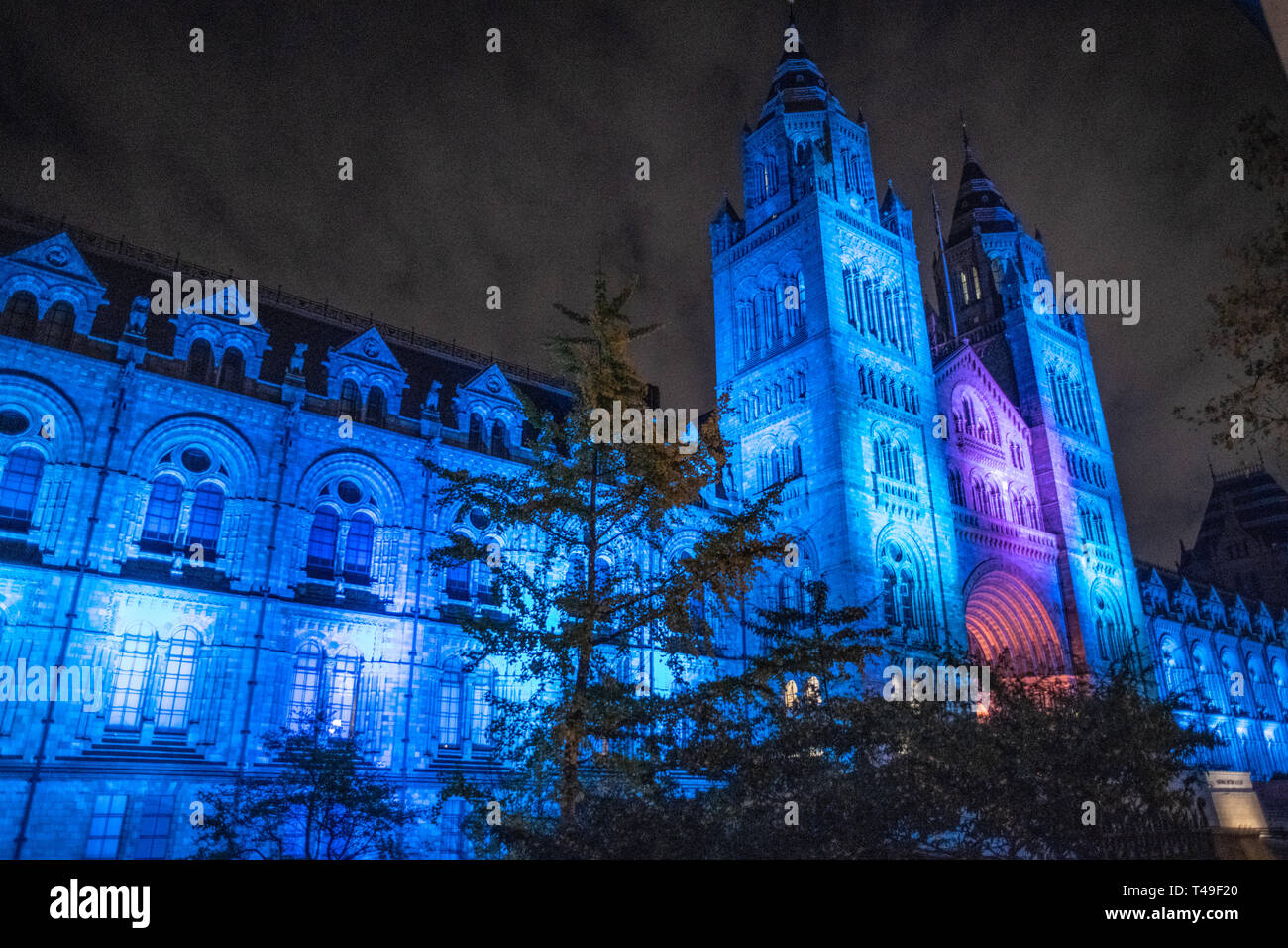Natural History Museum at night - London Stock Photo - Alamy