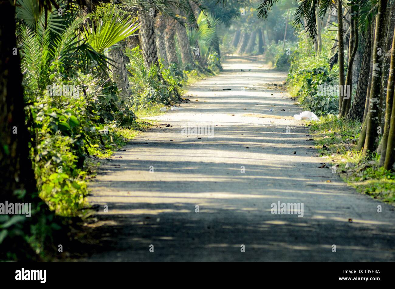 Beautiful village road Stock Photo - Alamy