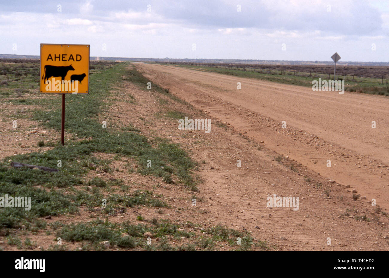 ROAD SIGN WARNING DRIVERS TO GIVE WAY TO STOCK CROSSING THIS SECTION OF ...