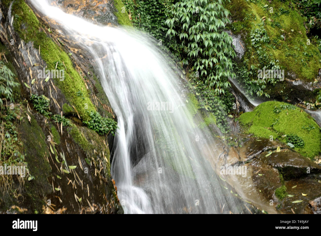 North sikkim waterfalls hi-res stock photography and images - Alamy