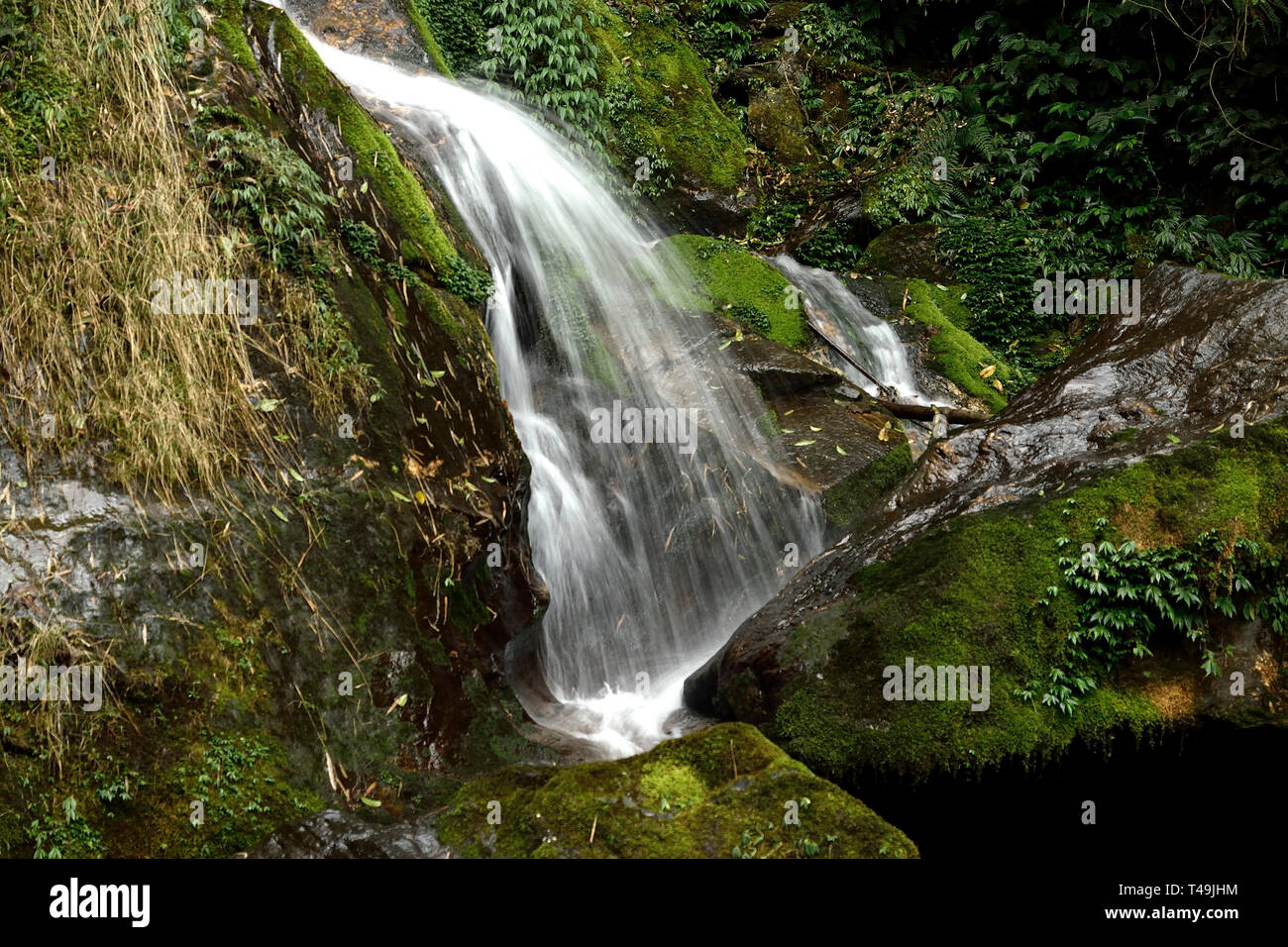 North sikkim waterfalls hi-res stock photography and images - Alamy