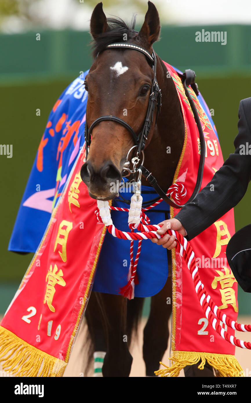 Funabashi, Chiba, Japan. 14th Apr, 2019. Saturnalia Horse Racing ...
