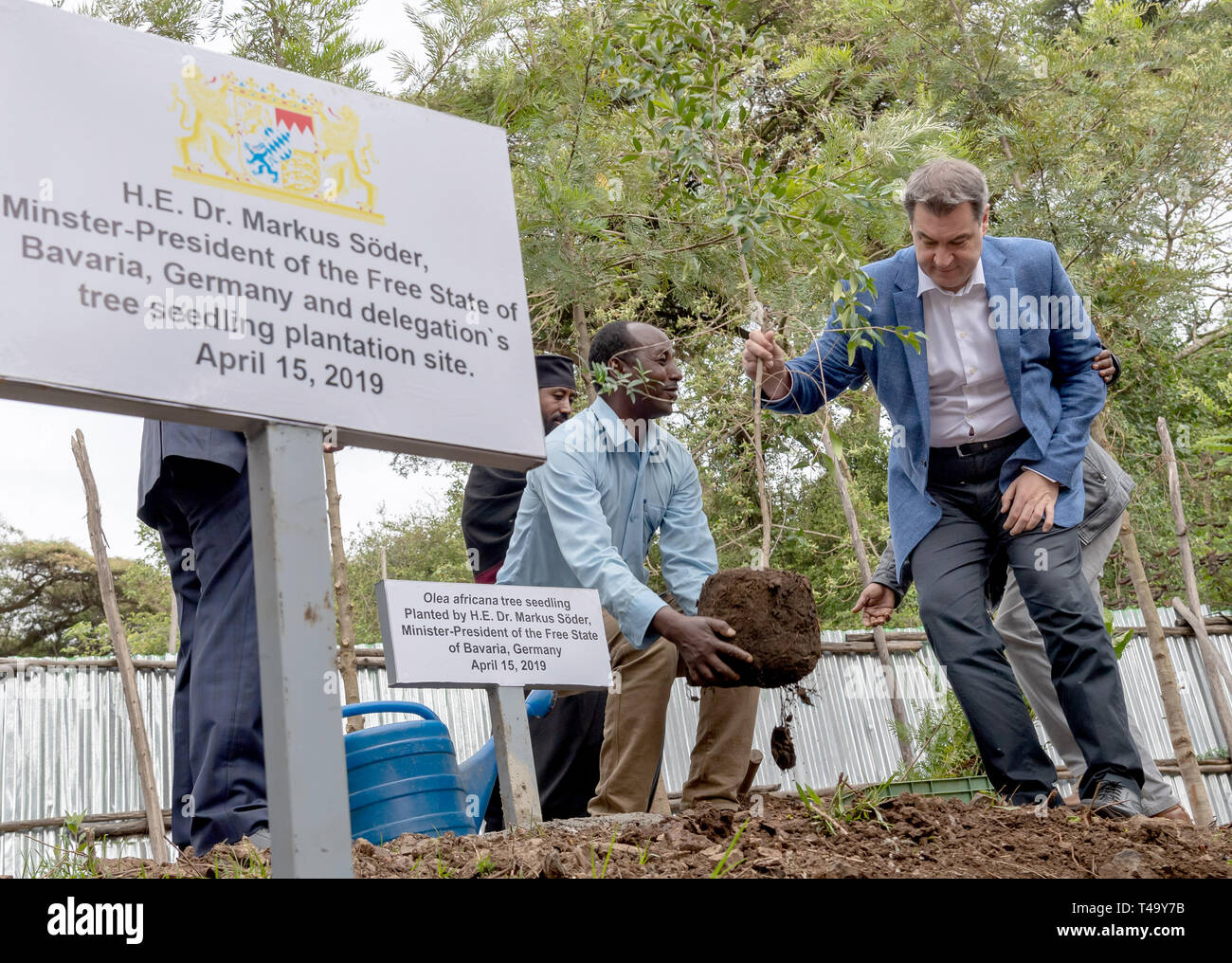 Ethiopia tree planting day hi-res stock photography and images - Alamy