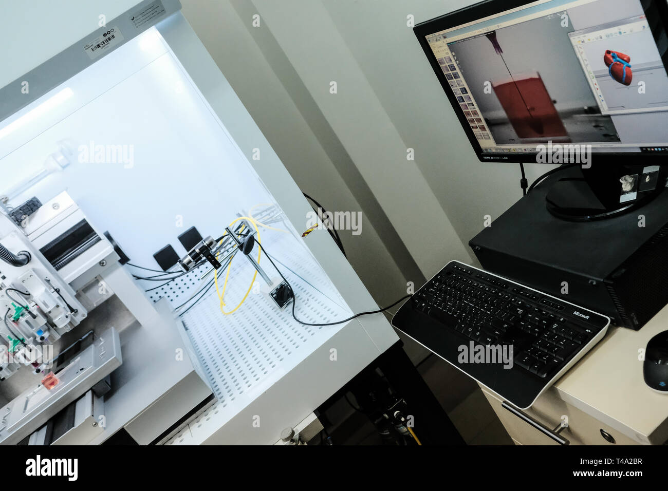 Prof tal dvir hi-res stock photography and images - Alamy