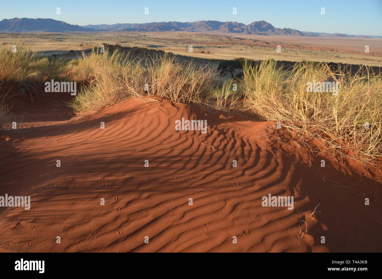 Beautiful landscape view in Namibia, Africa Stock Photo - Alamy
