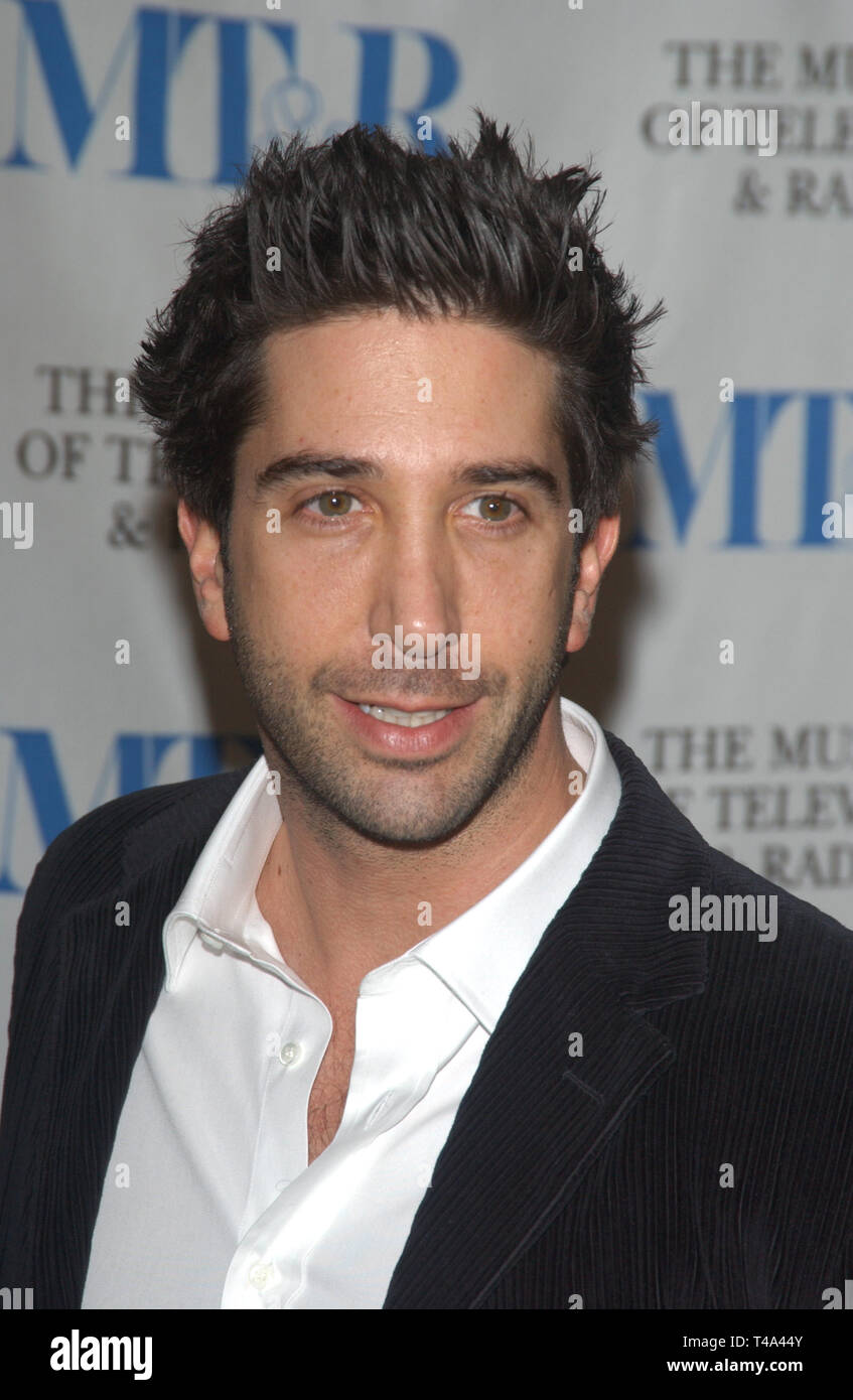 LOS ANGELES, CA. November 10, 2003: Actor DAVID SCHWIMMER at the Museum ...