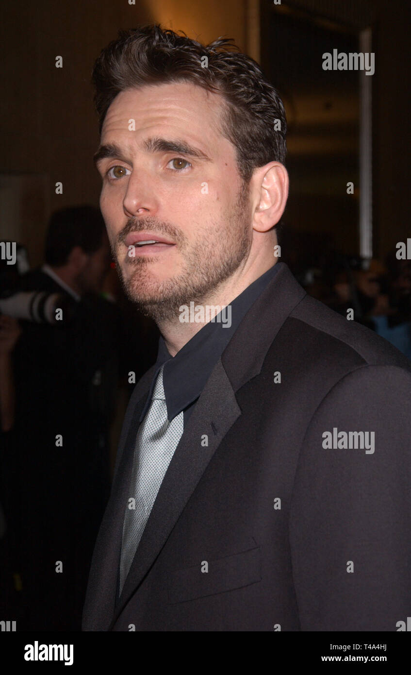 Matt Dillon Actor High Resolution Stock Photography and Images - Alamy