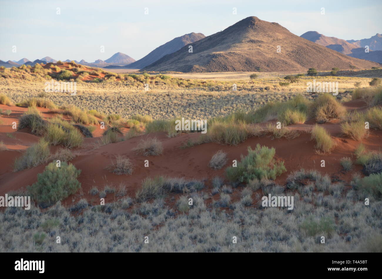 Beautiful landscape view in Namibia, Africa Stock Photo - Alamy