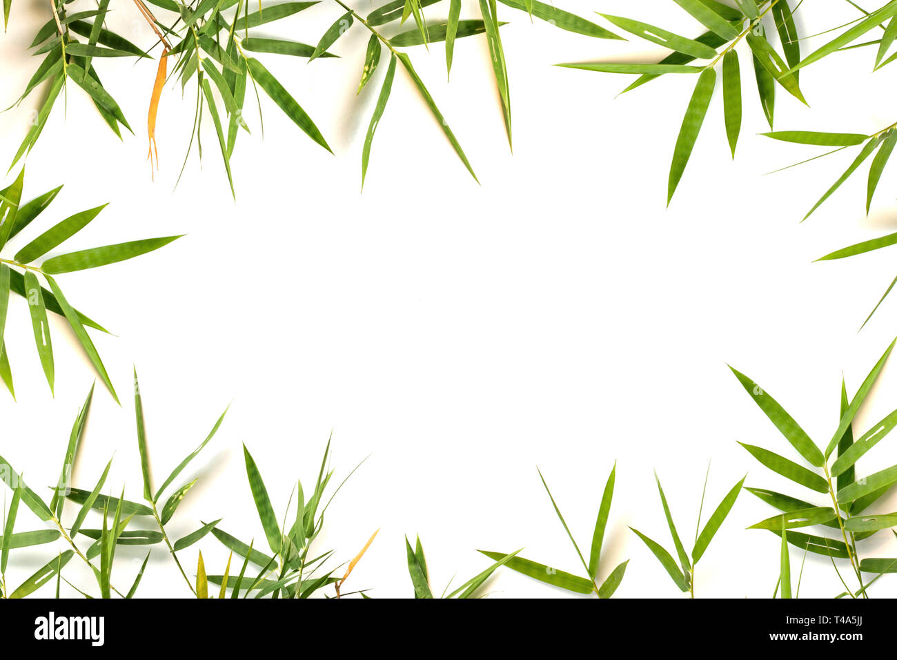 Freamwork hi-res stock photography and images - Alamy