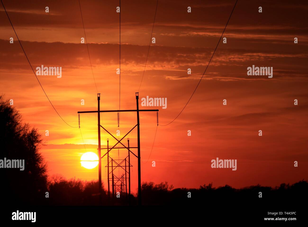 Kansas Bright orange Sunset with Power Line silhouette with tree's ...
