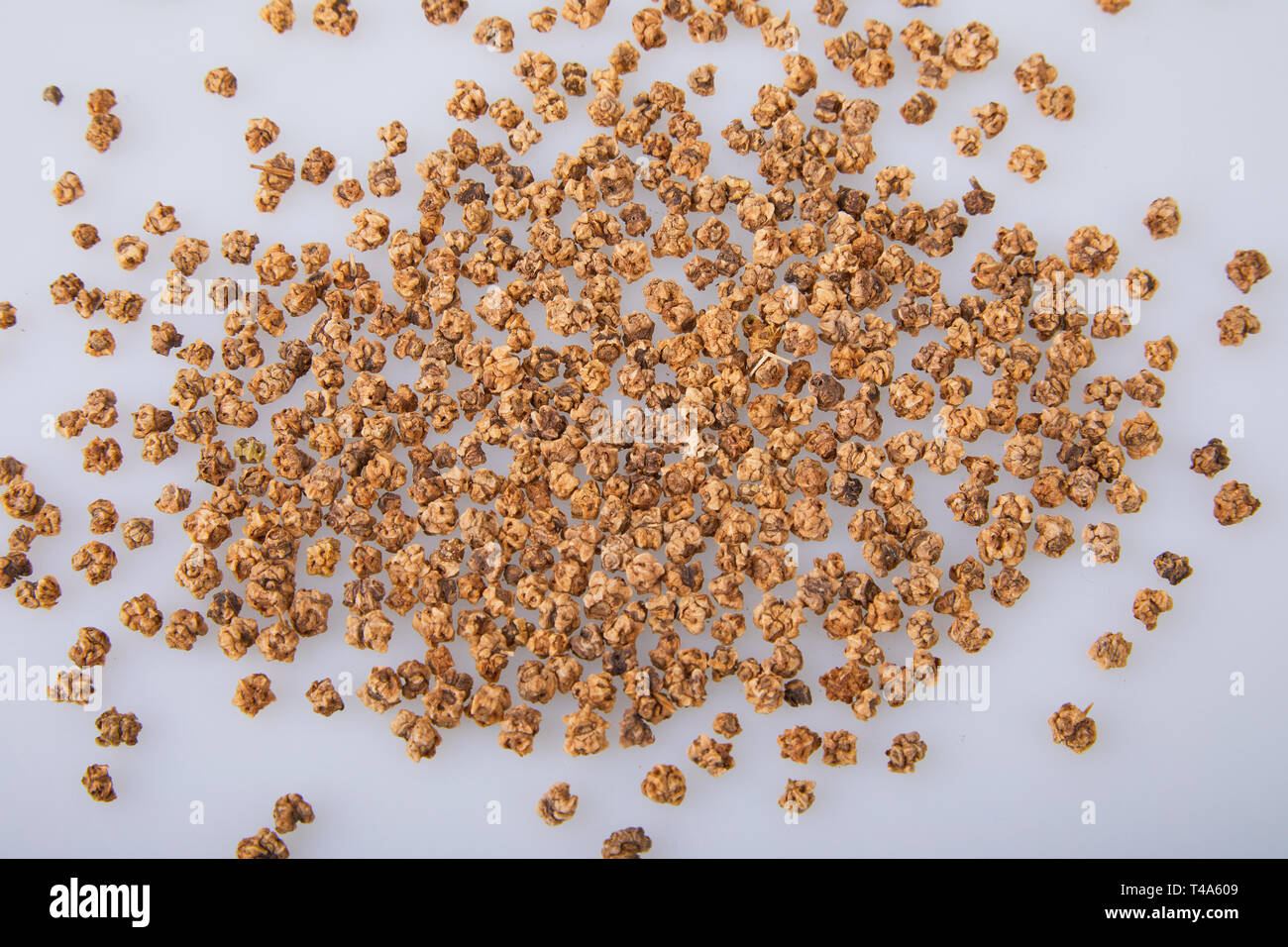 Dry selective beetroot seeds. Beet, Beta vulgaris, a vegetable with ...