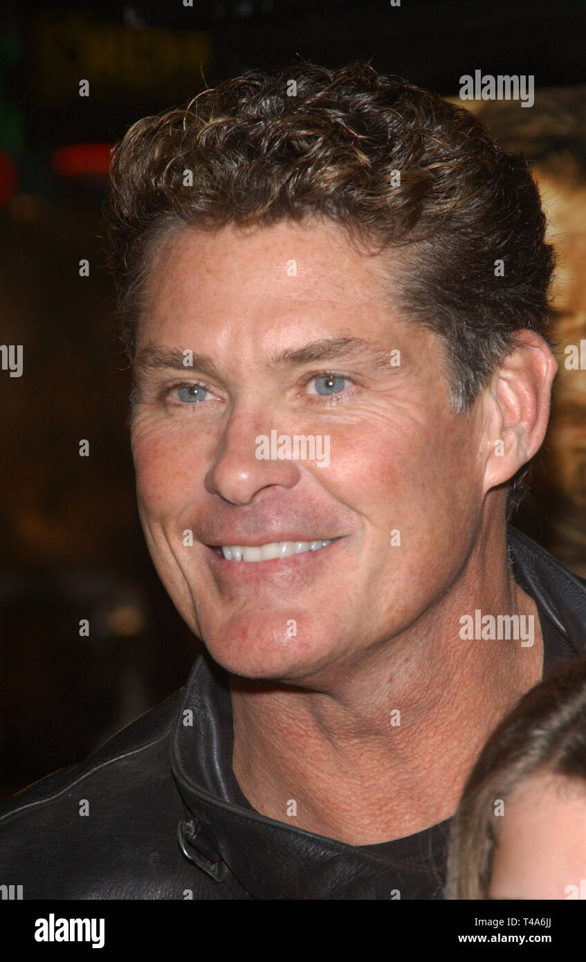 LOS ANGELES, CA. December 03, 2003: DAVID HASSELHOFF at the USA ...