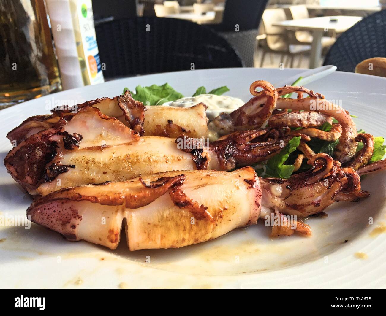 plate of fresh whole calamari Stock Photo - Alamy