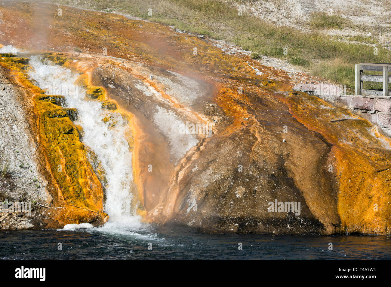 Geyser in grand prismatic spring Basin in Yellowstone National Park in ...