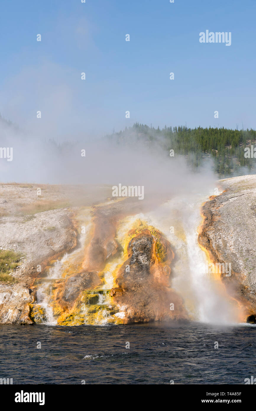 Geyser in grand prismatic spring Basin in Yellowstone National Park in ...