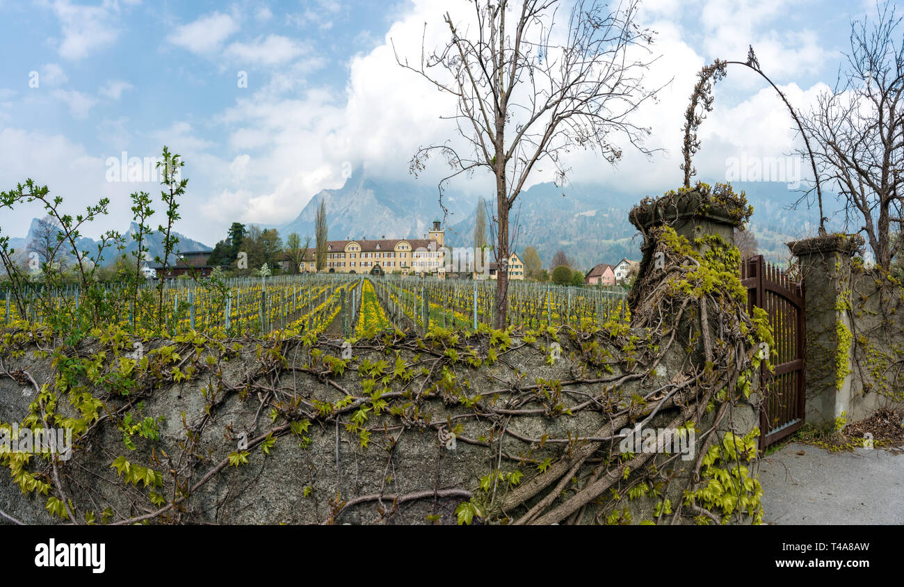 Maienfeld, GR / Switzerland - April 13, 2019: historic castle Salenegg ...