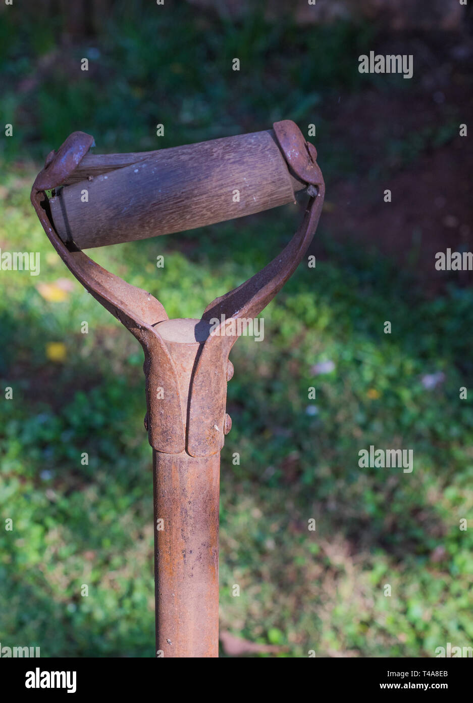 Damaged handle of a retro garden tool isolated against a green ...