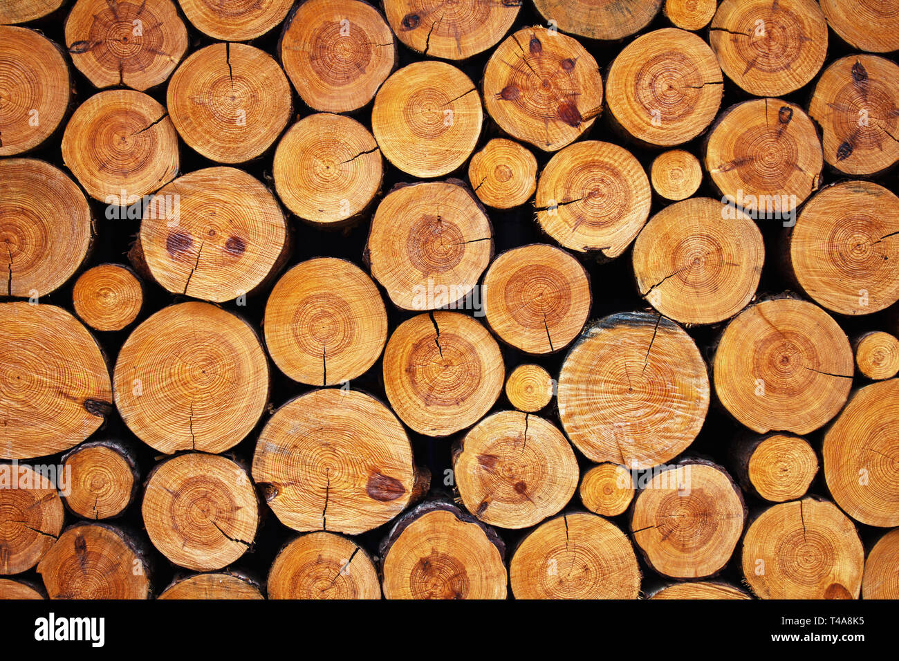wood logs background Stock Photo - Alamy