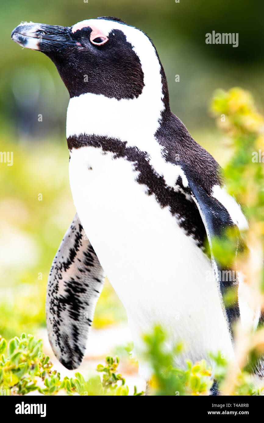 Baby eye protection hi-res stock photography and images - Alamy