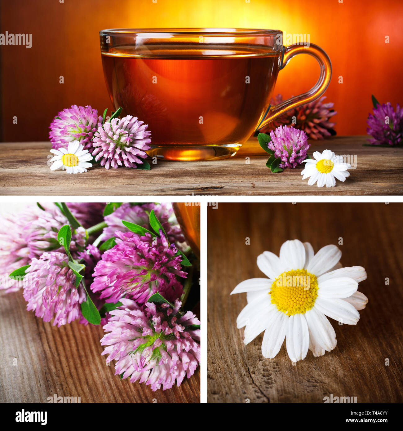 Herbal tea collage Stock Photo - Alamy