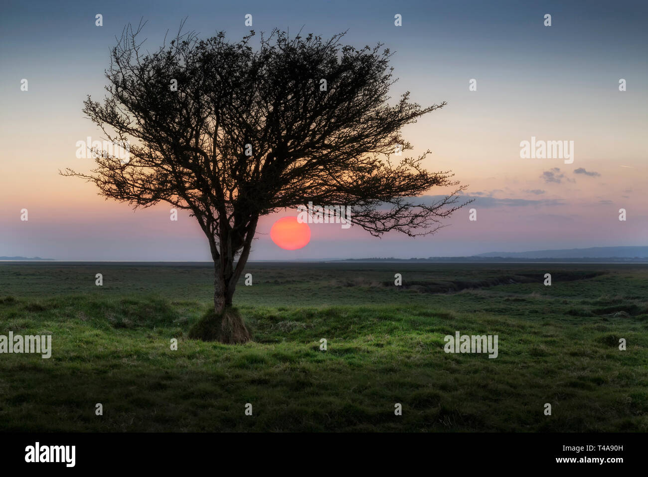 Sunset at Penclawdd estuary Stock Photo - Alamy