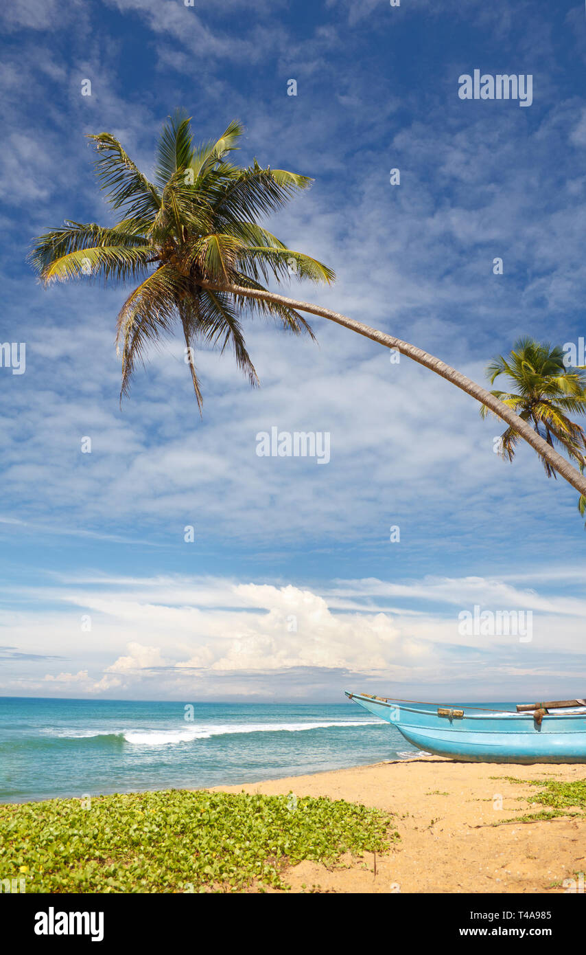 boat and coconut palm tree on tropical coast Stock Photo - Alamy