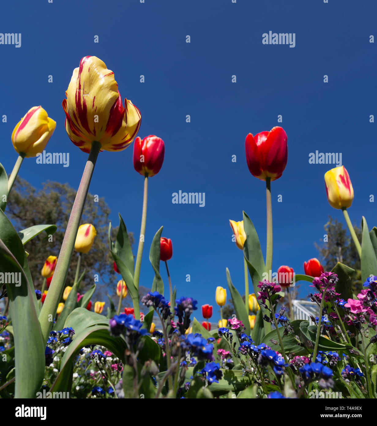 Beautiful worms eye view hi-res stock photography and images - Alamy