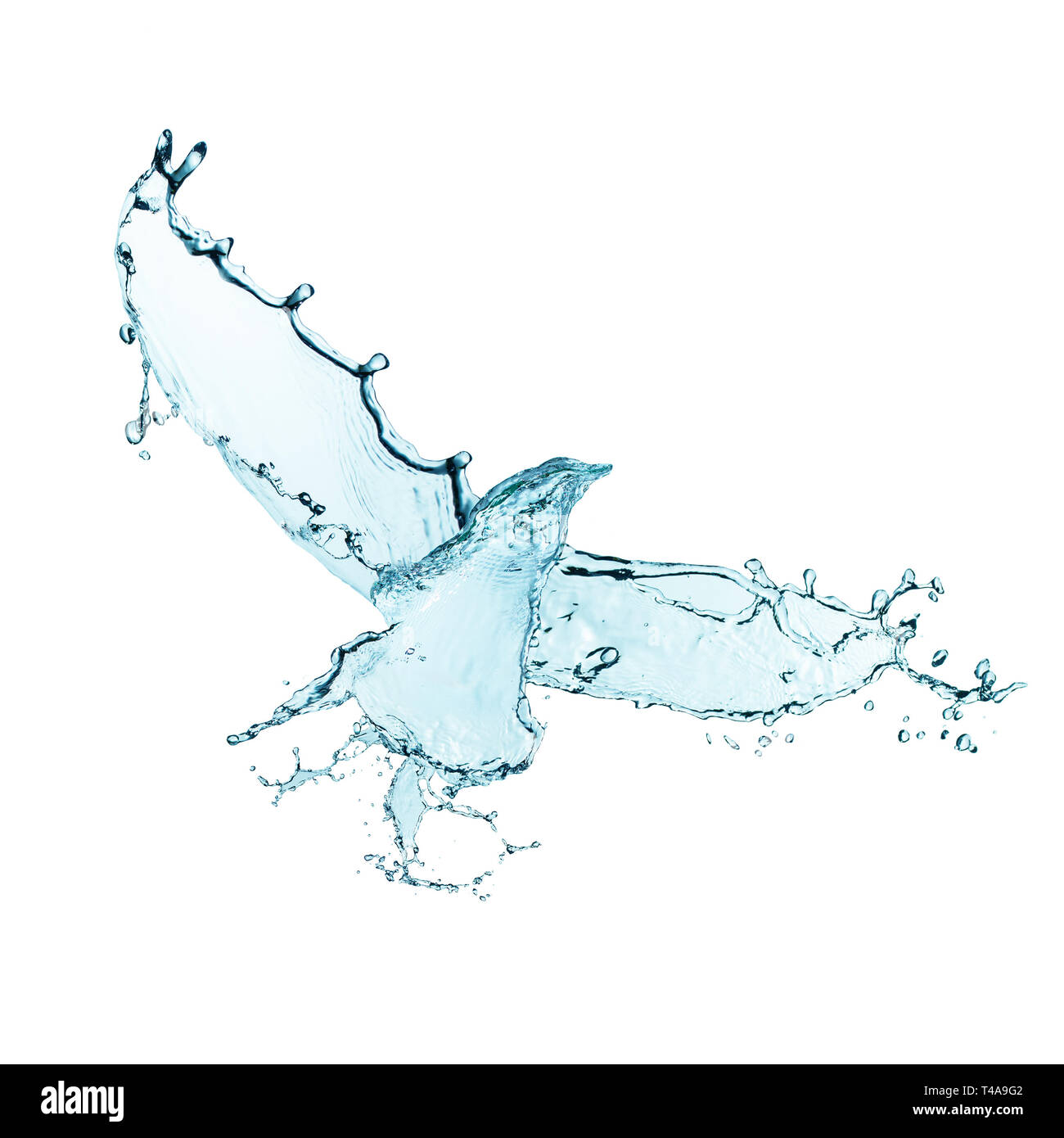 Flying bird illustration Cut Out Stock Images & Pictures - Alamy