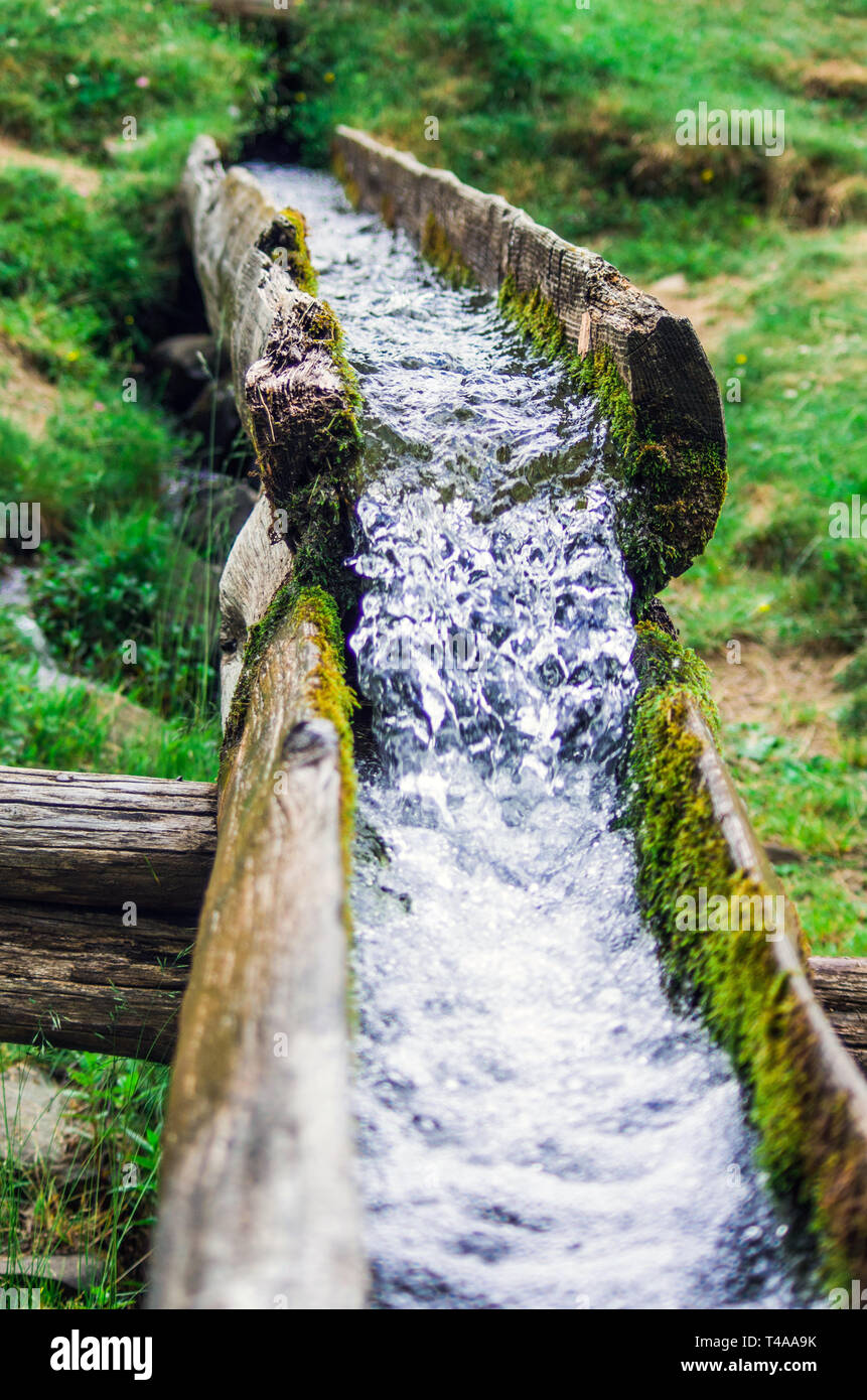 water source of life flows fresh and clean from the mountain to the ...