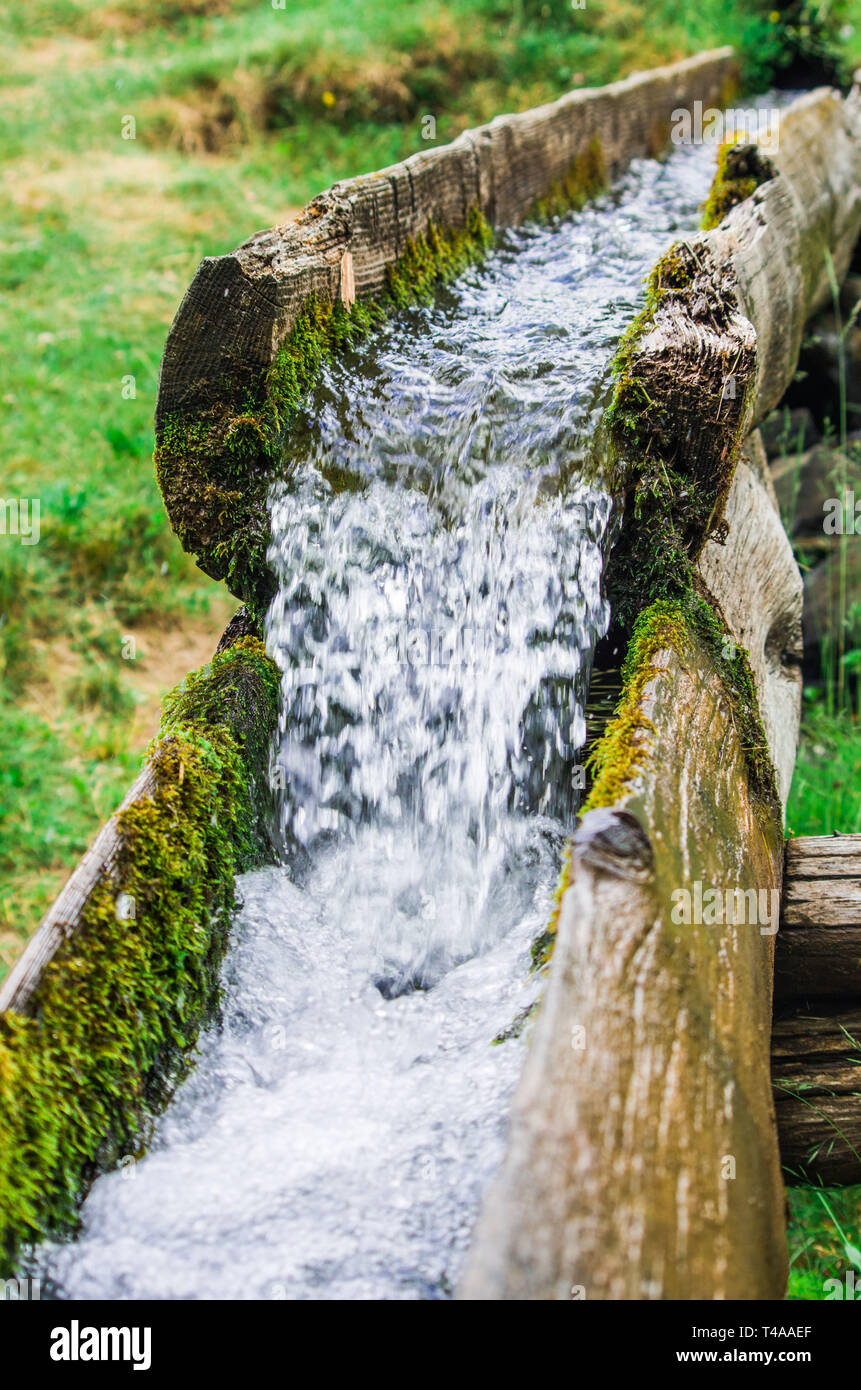 Biodiversity desert water hi-res stock photography and images - Alamy