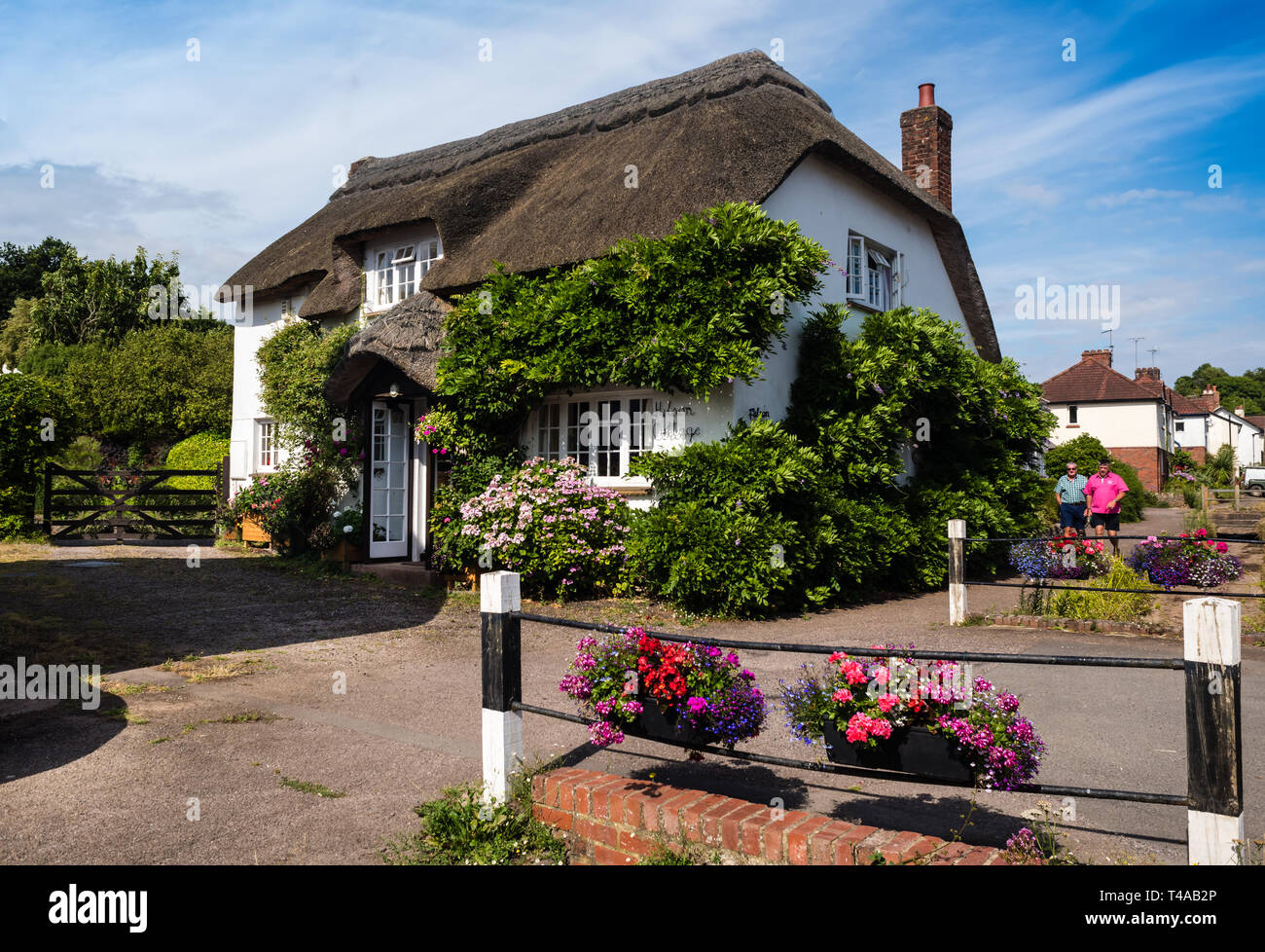Otterton village with a stream flowing down the main high street Stock ...