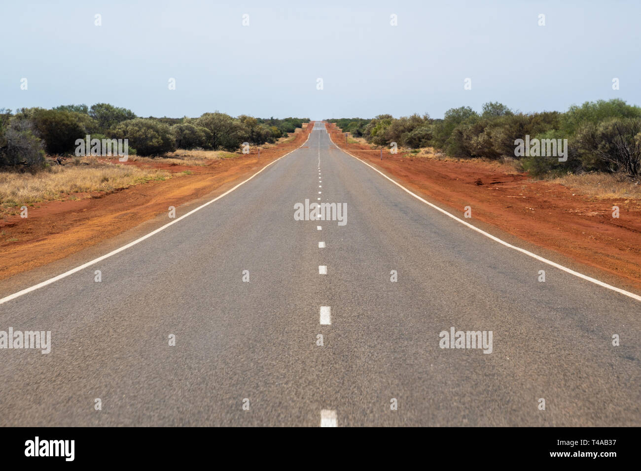 Australian bush land hi-res stock photography and images - Alamy