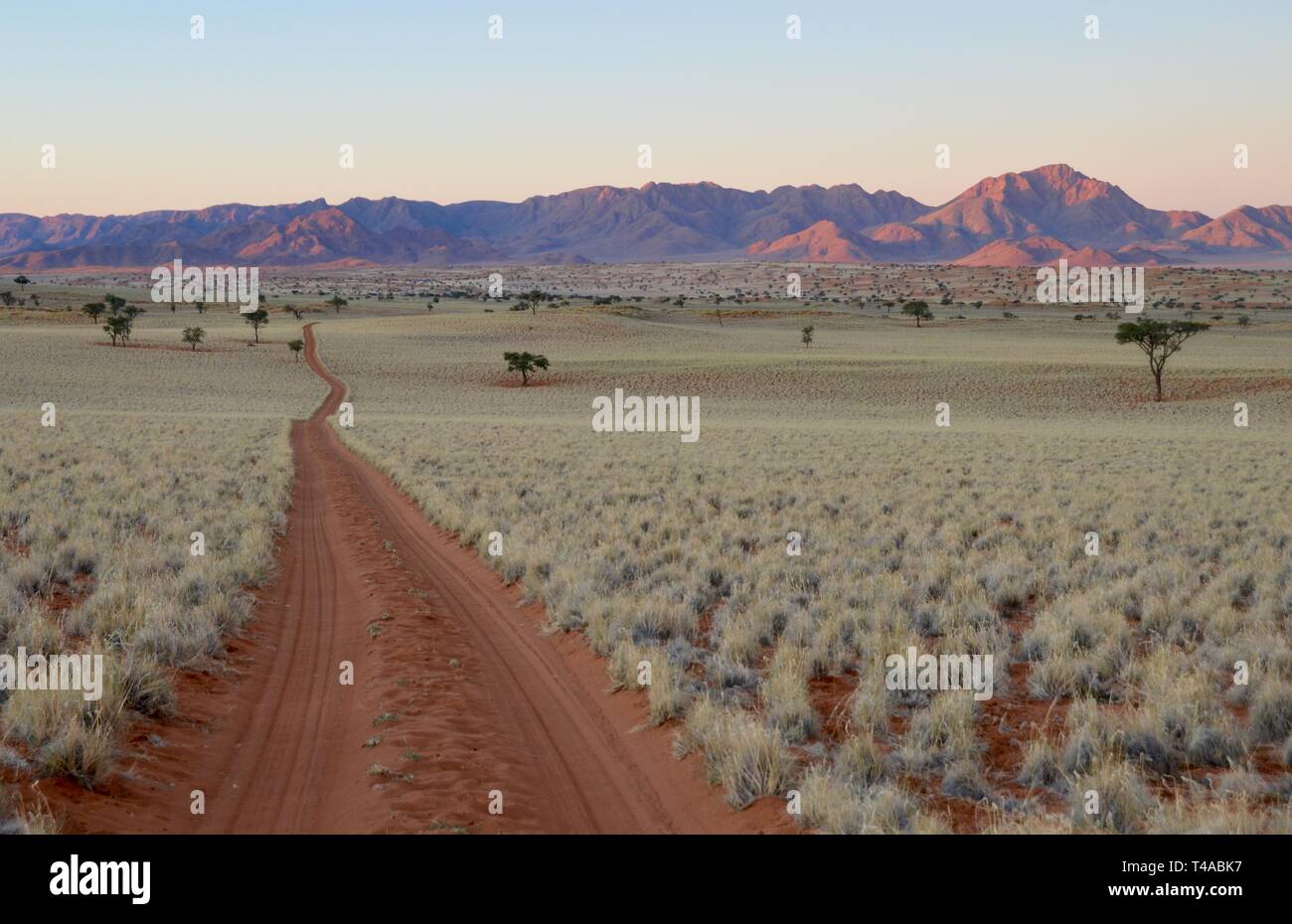 Beautiful landscape view in Namibia, Africa Stock Photo - Alamy