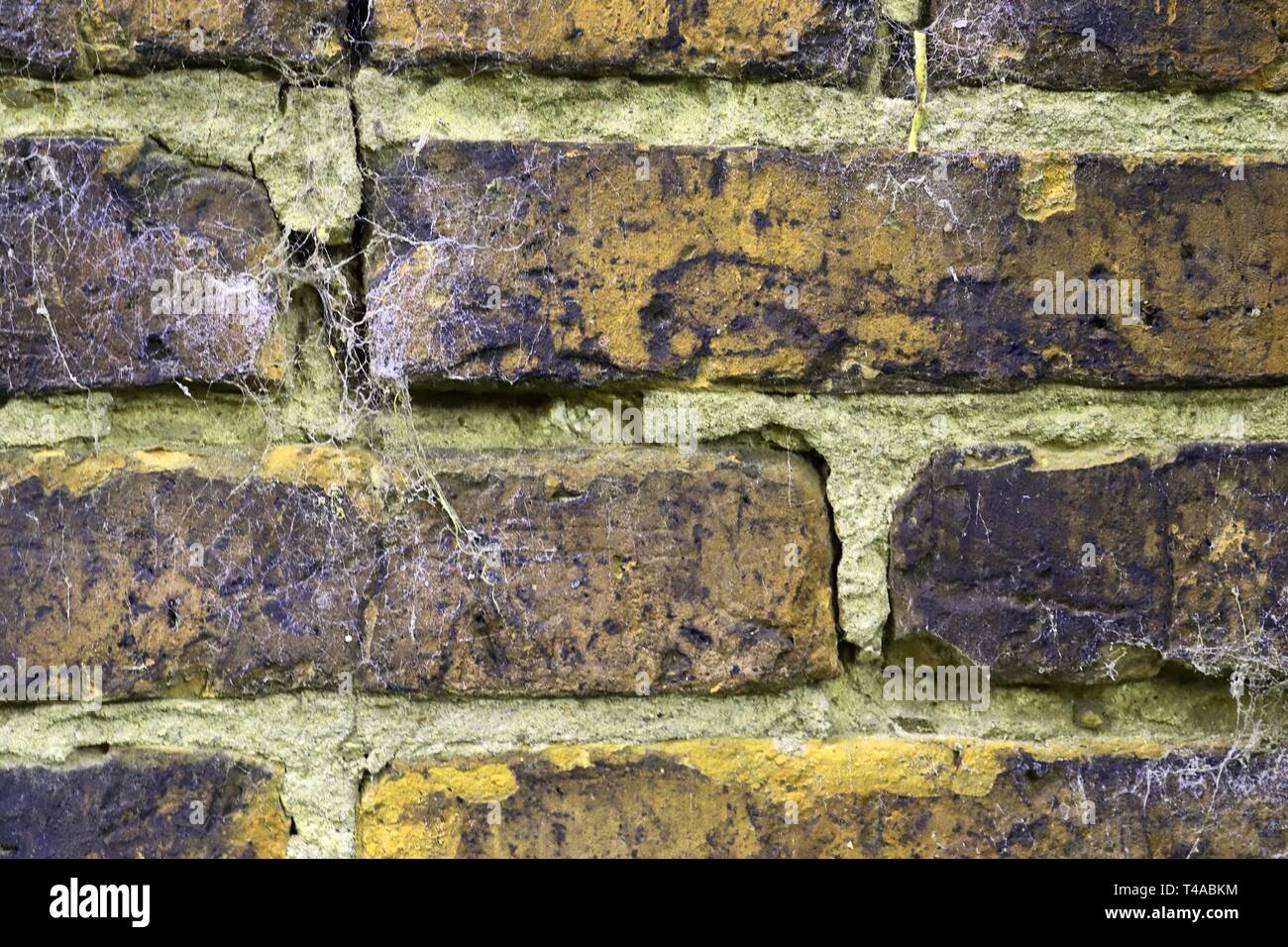 Weathered and aged yellow brick walls with cracks in high resolution ...