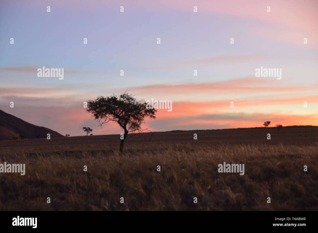 Beautiful landscape view in Namibia, Africa Stock Photo - Alamy