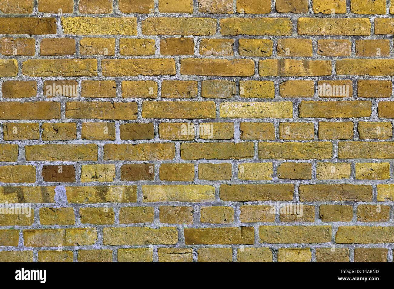 Weathered and aged yellow brick walls with cracks in high resolution ...