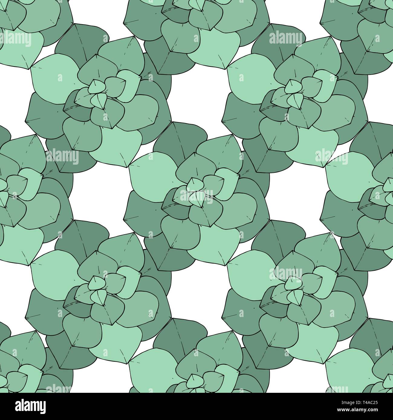 Vector Succulents floral botanical flower. Engraved ink art. Seamless ...