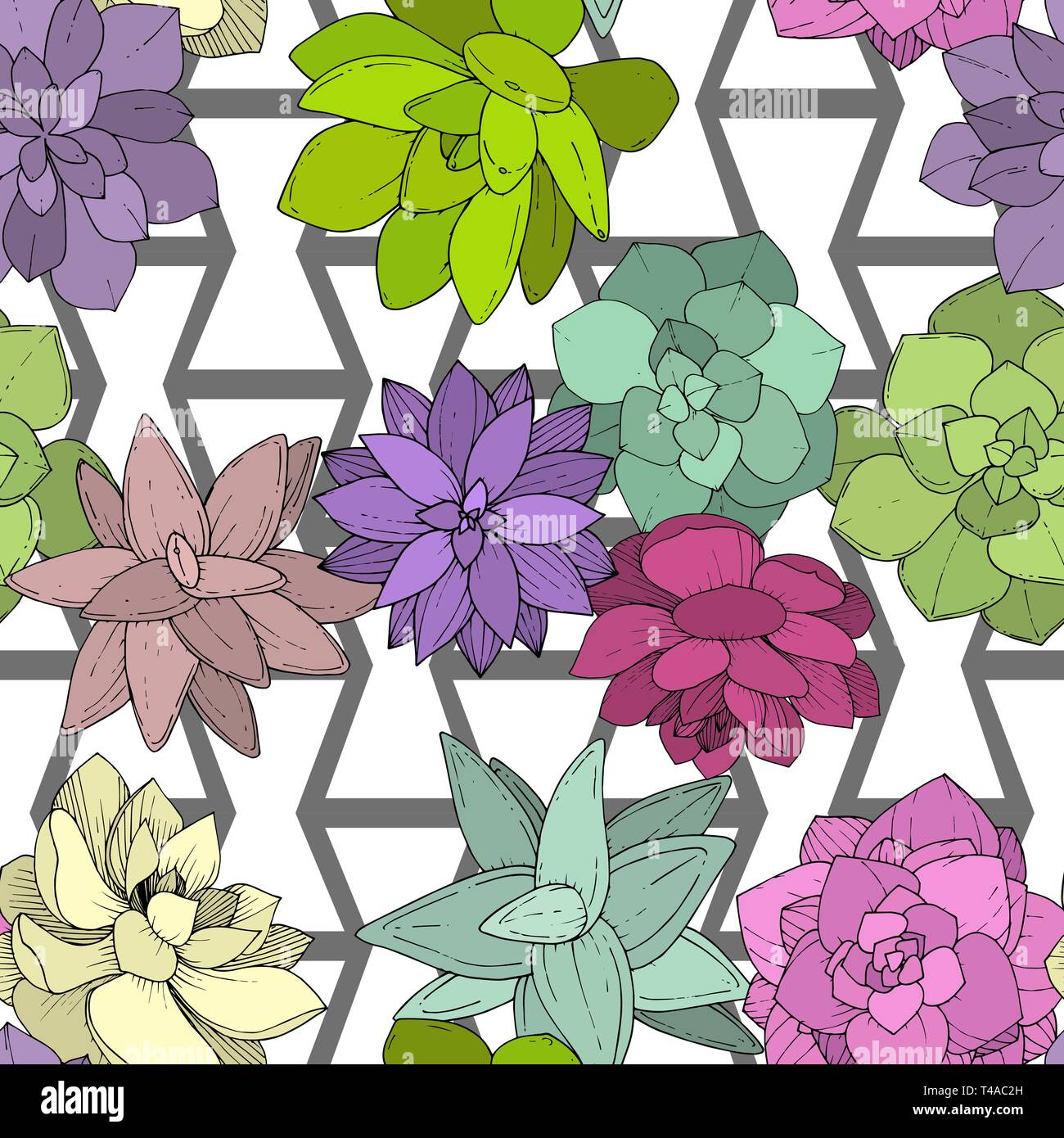 Vector Succulents floral botanical flower. Engraved ink art. Seamless ...