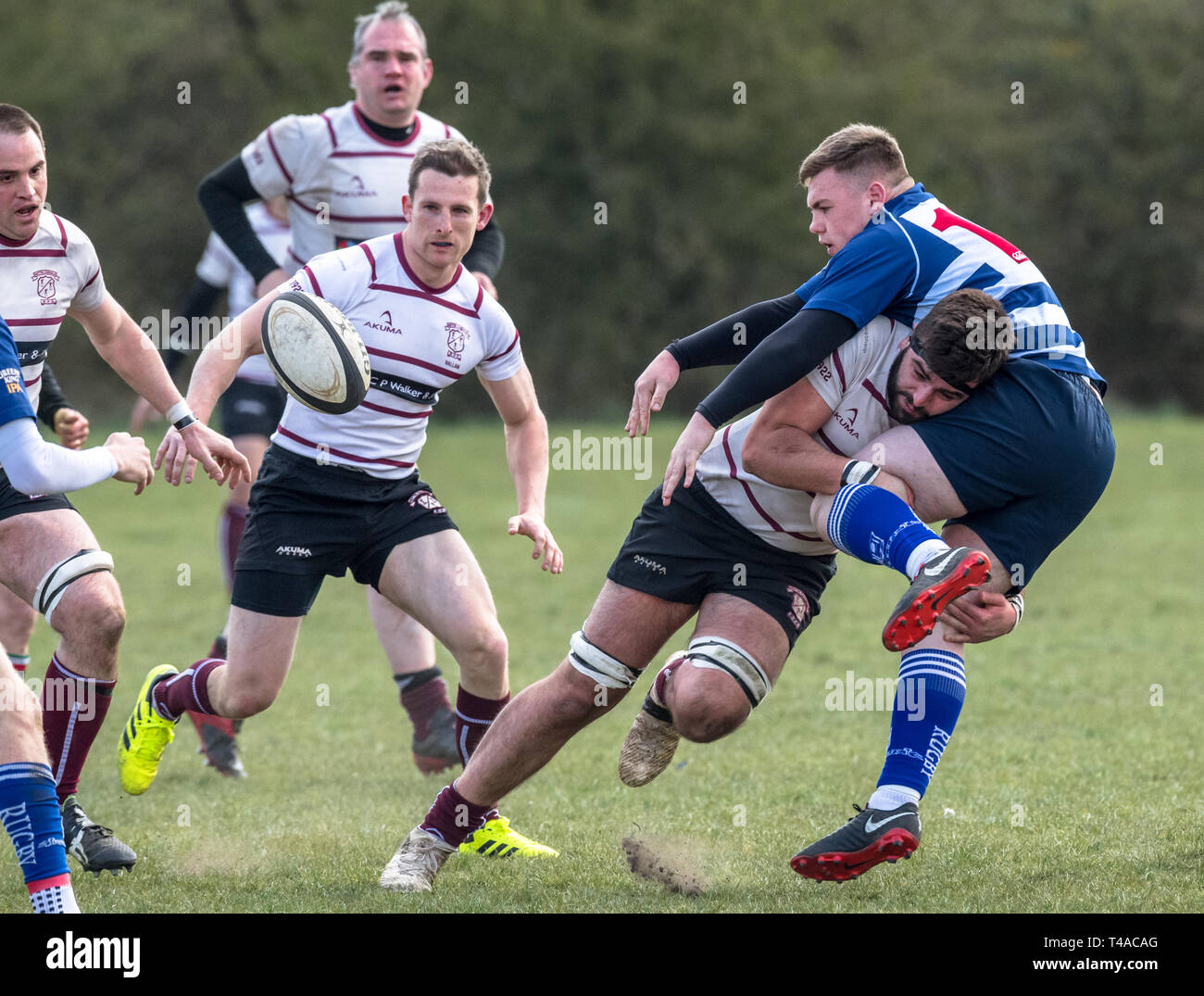 Rugby tackle hi-res stock photography and images - Alamy