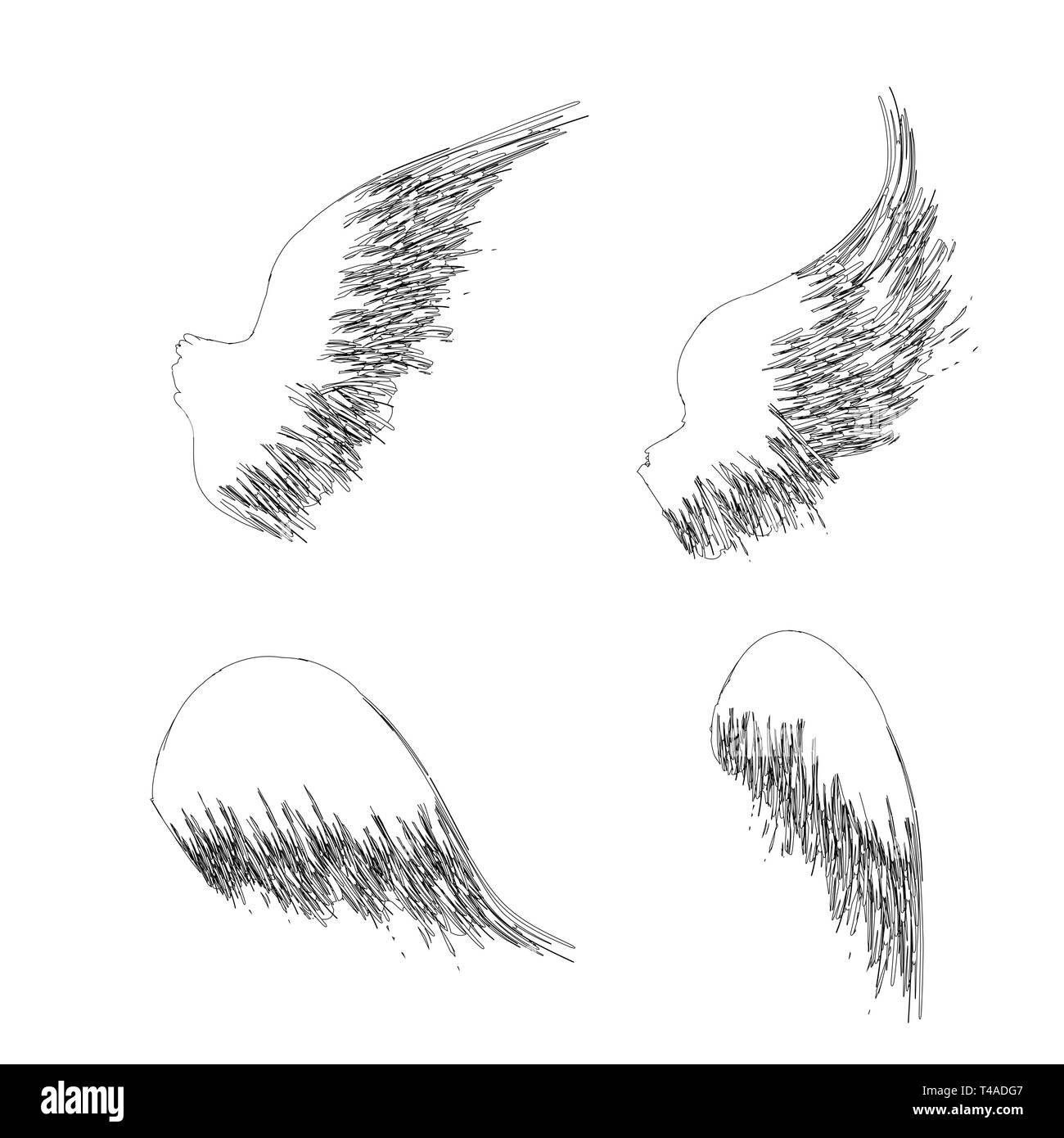 Bird wings outline Cut Out Stock Images & Pictures - Alamy