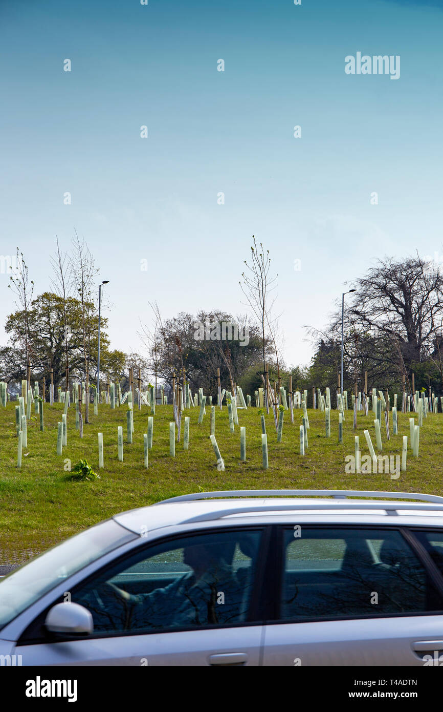 Planted roundabout hi-res stock photography and images - Alamy