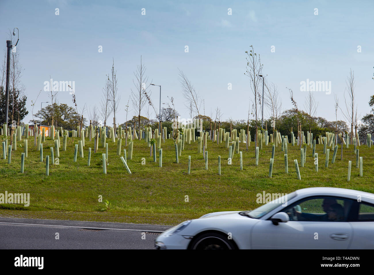 Trees roundabout uk hi-res stock photography and images - Alamy