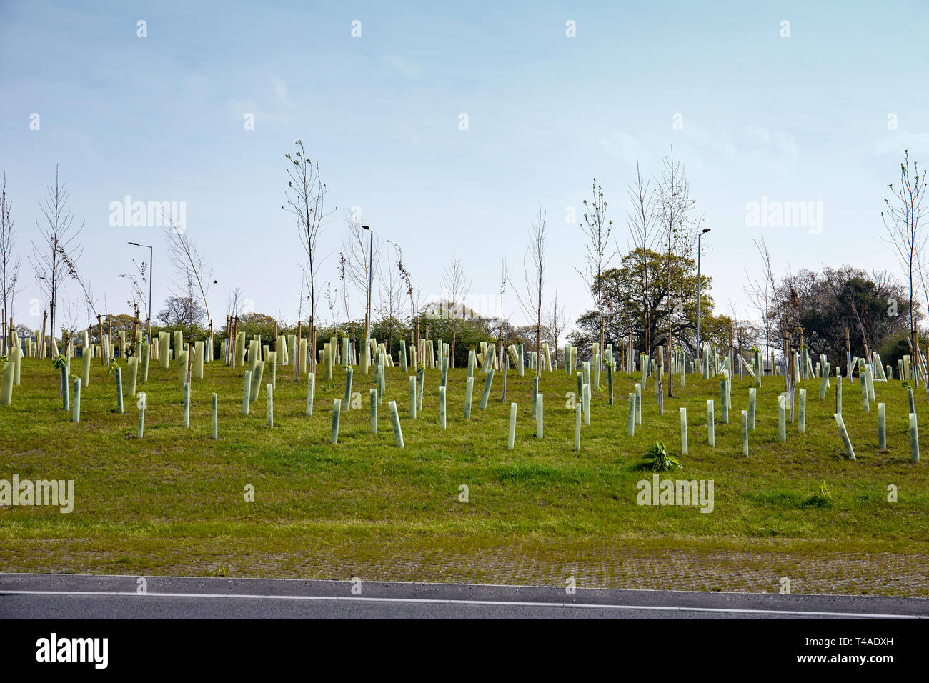 Supported by tree hi-res stock photography and images - Alamy