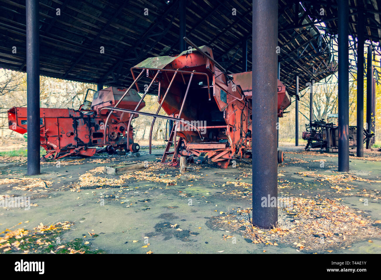 Abandoned kolkhoz (farm) in village Zymovyshche nearby Chernobyl ...