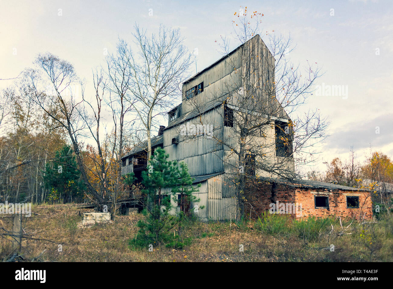 Abandoned Grain elevator in kolkhoz (farm) in village Zymovyshche ...